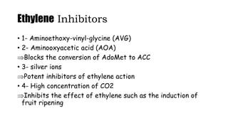 Ethylene effect on fruits and vegetables - By Maha Hussien | PPT