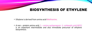 Ethylene | PPT