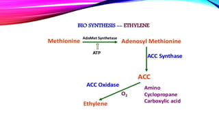 Ethylene | PPT