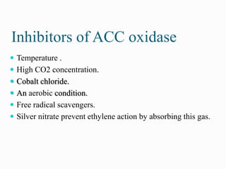 Ethylene.pptx