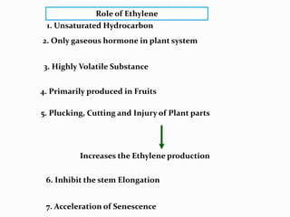 Ethylene.pptx