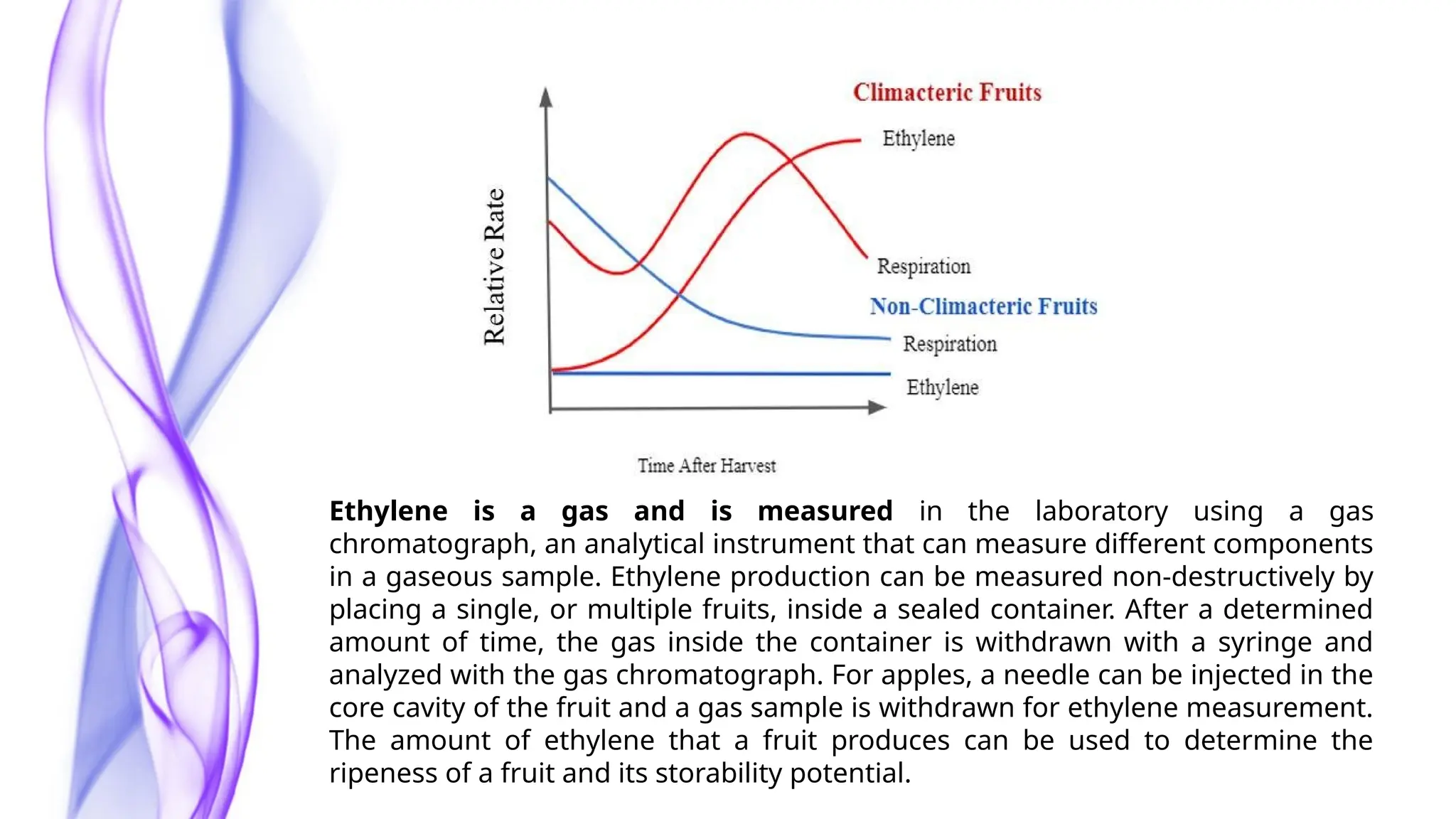 Ethylene Biosynthesis And Its Regulation Pptx