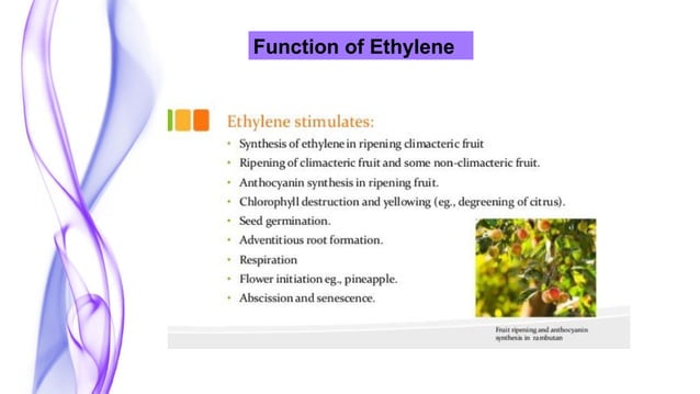 Ethylene Biosynthesis And Its Regulation Pptx