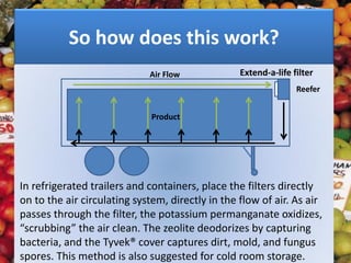 Ethylene filters how do they work | PDF | Agriculture | Industries