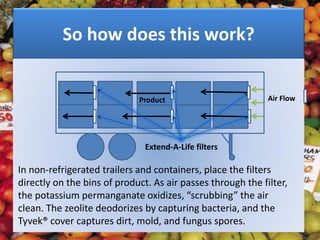 Ethylene filters how do they work | PDF | Agriculture | Industries