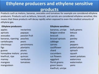 Ethylene filters how do they work | PDF | Agriculture | Industries