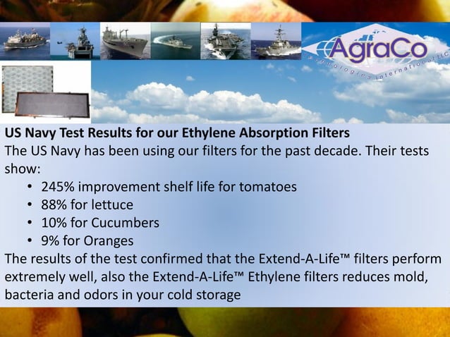 Ethylene filters how do they work | PDF | Agriculture | Industries
