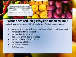 Ethylene filters how do they work | PDF | Agriculture | Industries