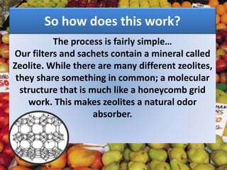 Ethylene filters how do they work | PDF | Agriculture | Industries