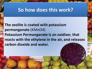 Ethylene filters how do they work | PDF | Agriculture | Industries