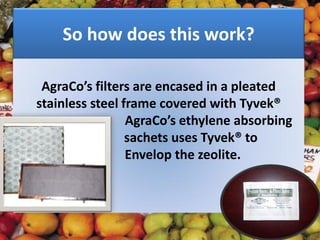 Ethylene filters how do they work | PDF | Agriculture | Industries