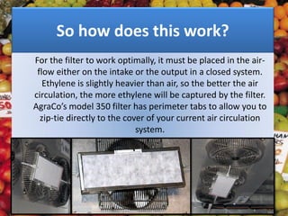 Ethylene filters how do they work | PDF | Agriculture | Industries