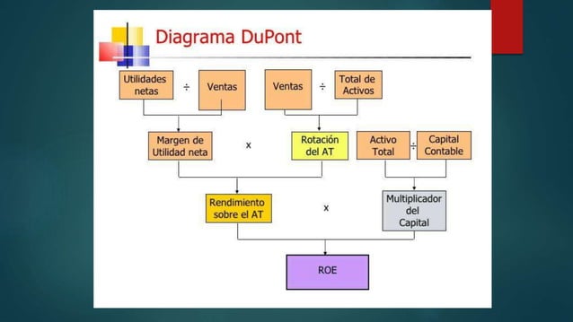 Etica^. piramide dupont | PPTX
