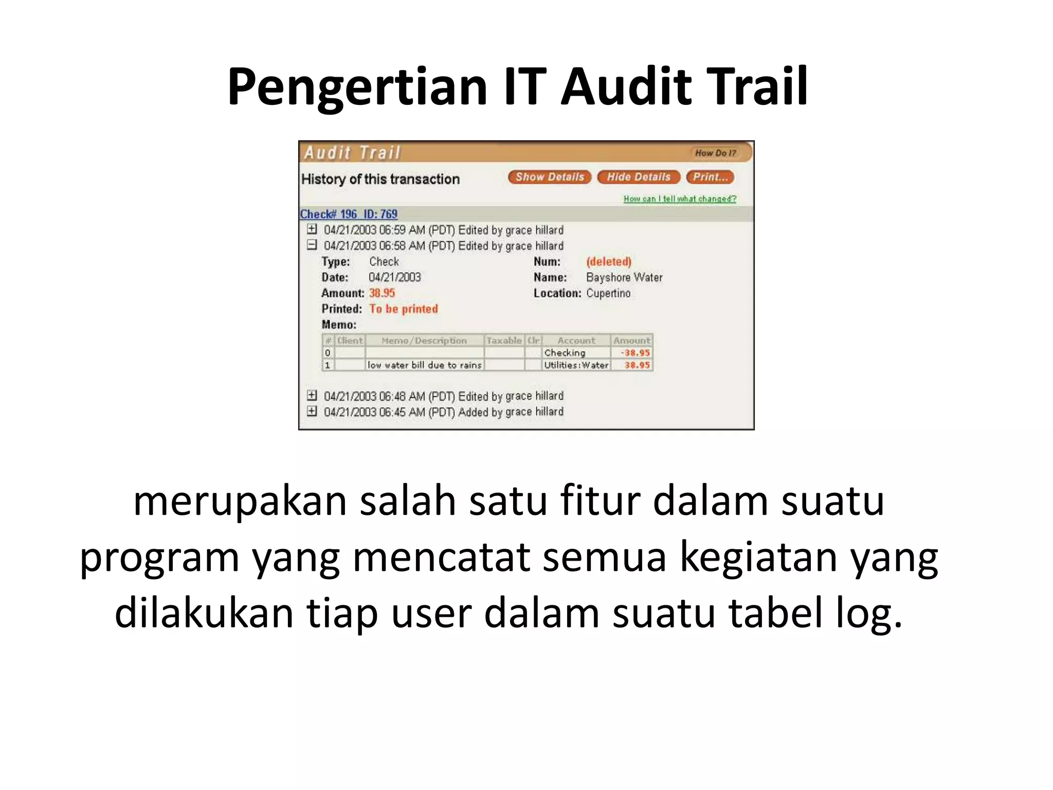 IT AUDIT TRAIL PPT (presentasi) | PPTX
