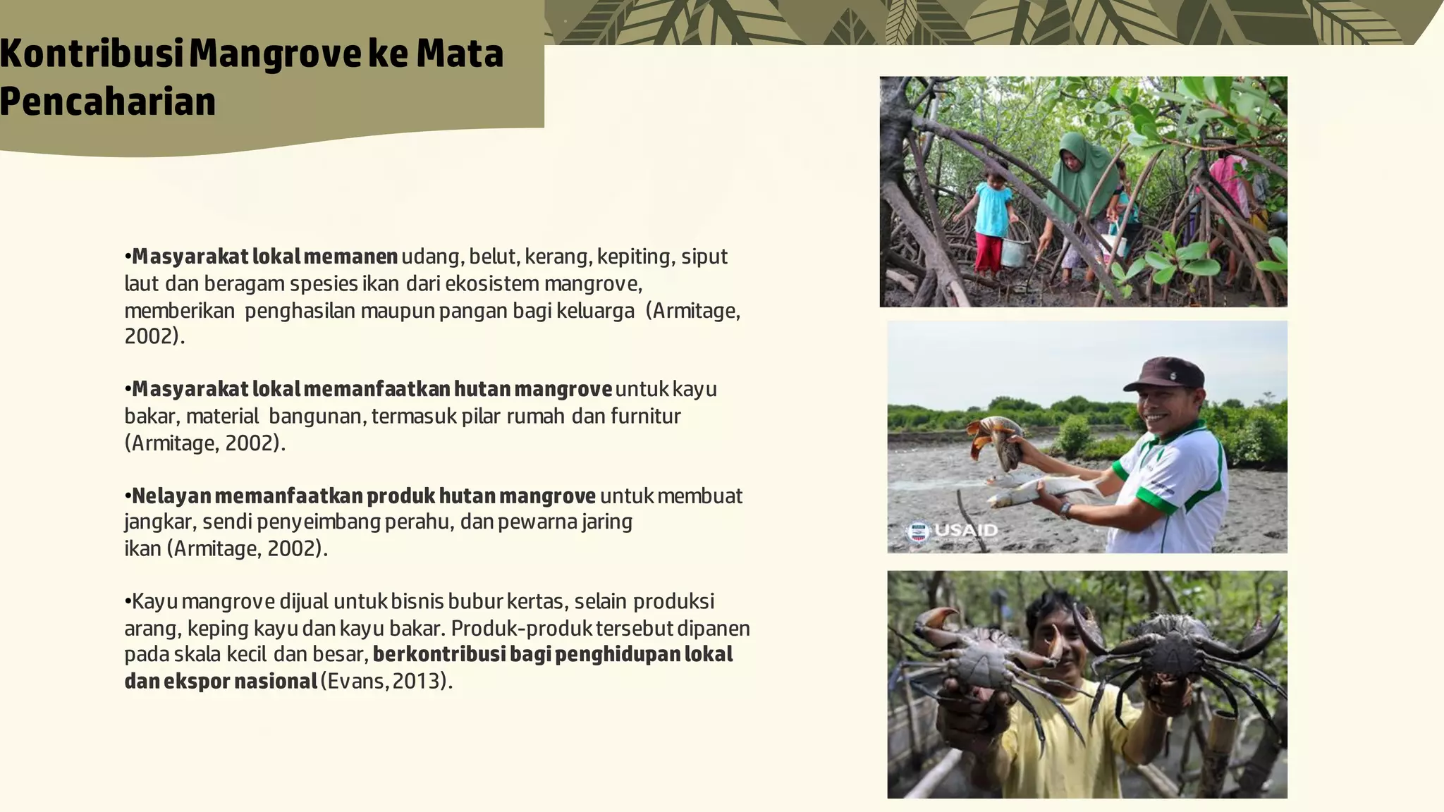 Dampak Pemanfaatan Hasil Produk Ekosistem Mangrove Pada Gizi Masyarakat ...