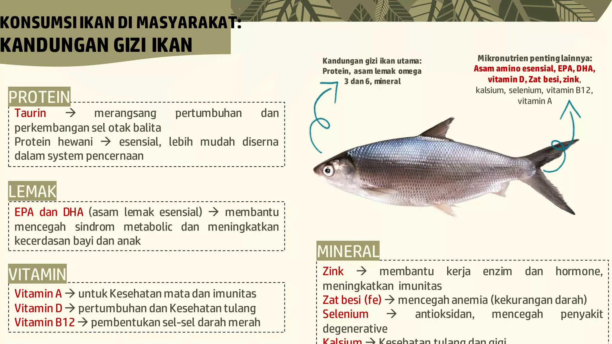 Dampak Pemanfaatan Hasil Produk Ekosistem Mangrove Pada Gizi Masyarakat ...
