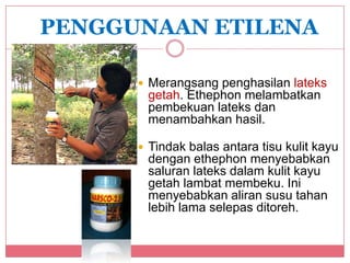 Etilena | PPTX