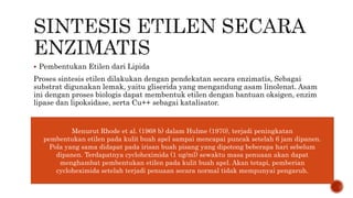 etilen teknologi hasil pertanian [Autosaved].pptx