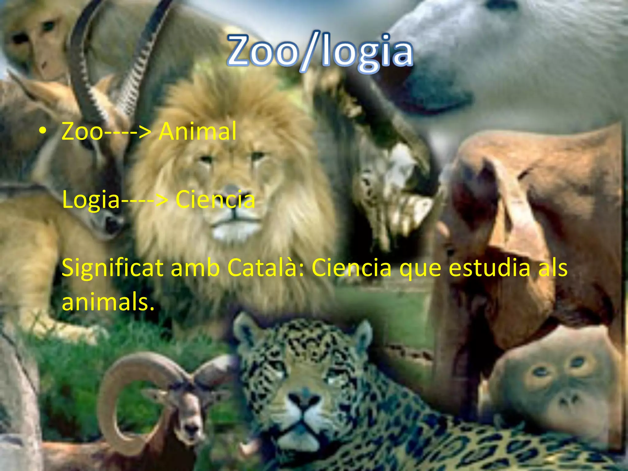 Etimologia | PPT