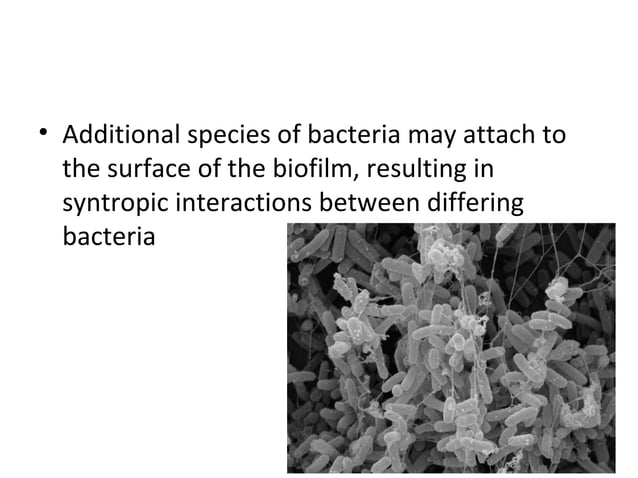 Etiology and pathogenesis | PPT