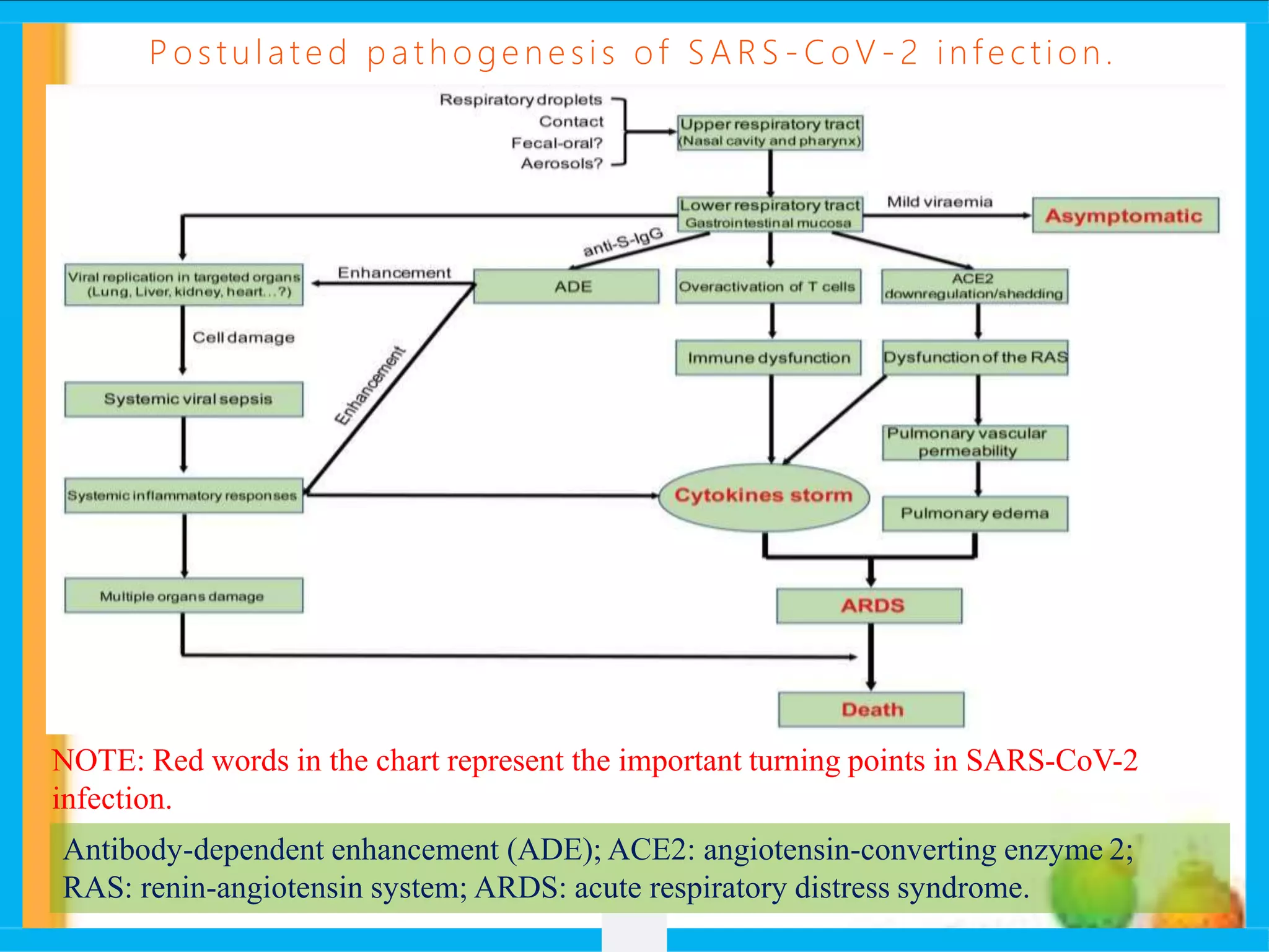 Etiology and pathogenesis of covid 19 | PPTX