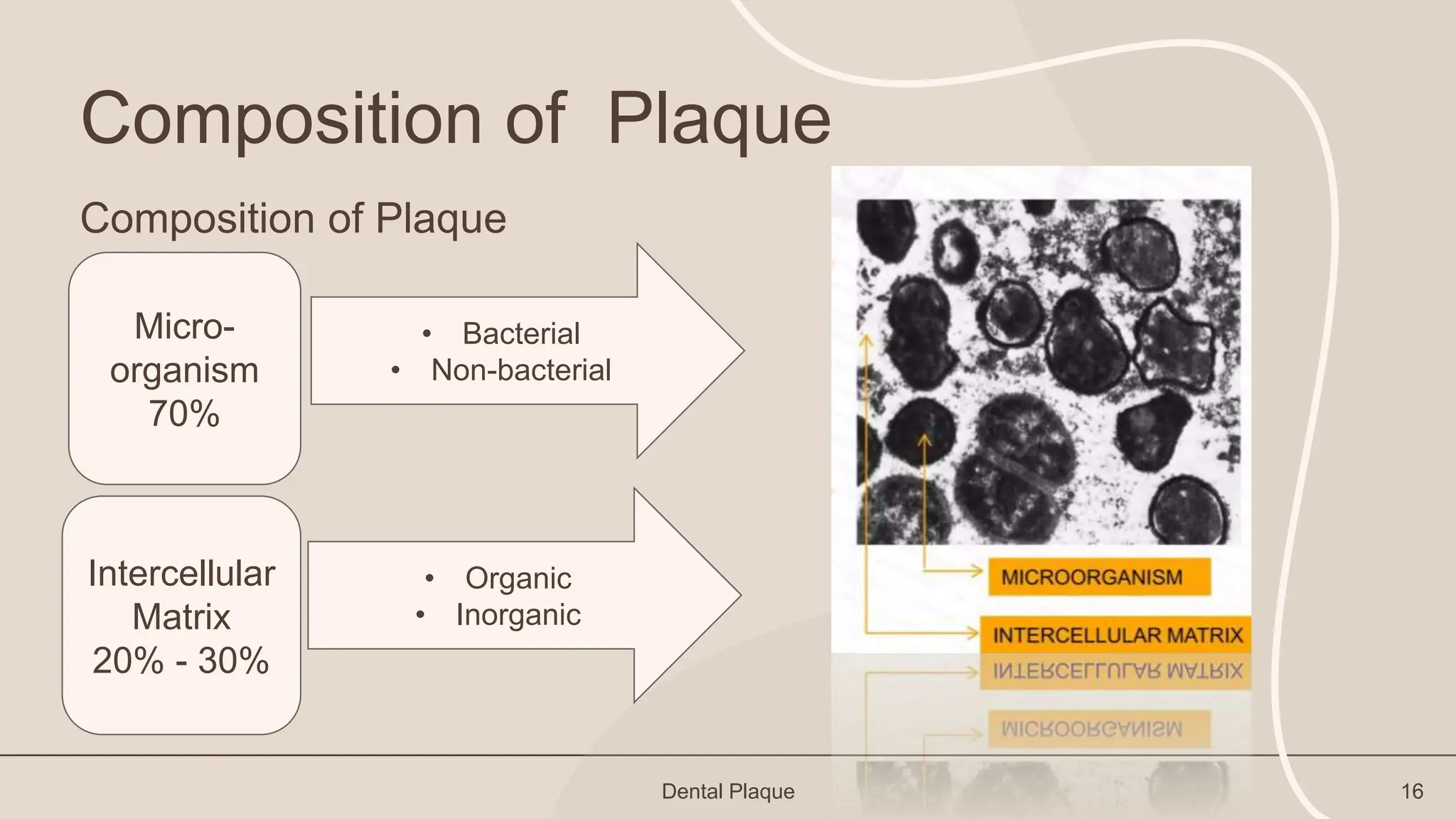 etiology and pathogenies of dental caries.pptx