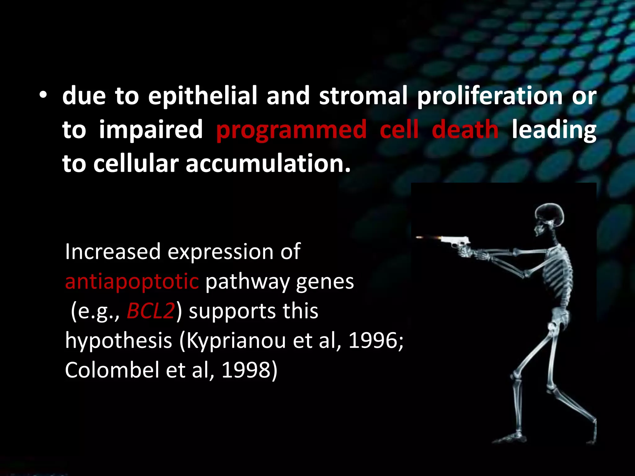 Etiology and pathophysiology of bph | PPTX