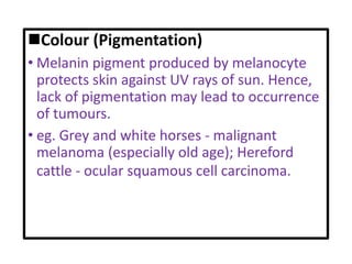 Etiology of neoplasm veterinary science (pathology) | PPTX