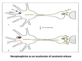 Etiopathogenesis of bipolar disorder | PPTX