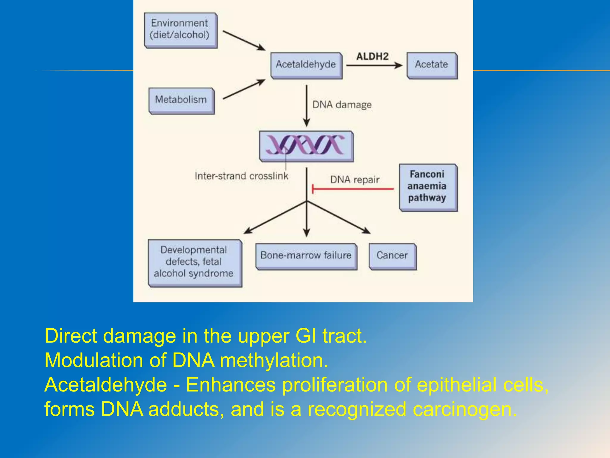 Etiology of Cancer | PPTX