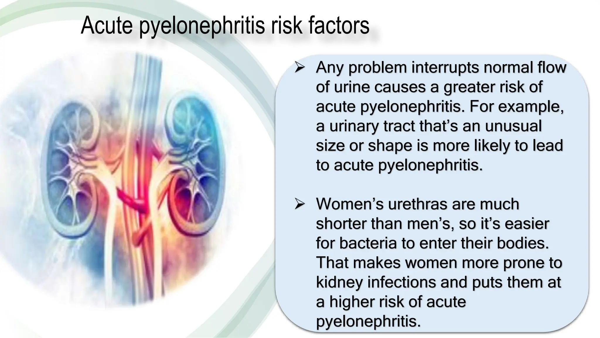 etiology of pyelonephritis nephritis... pptx | PPTX
