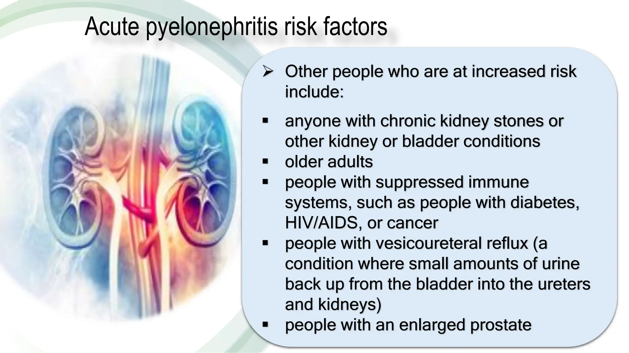 etiology of pyelonephritis nephritis... pptx | PPTX