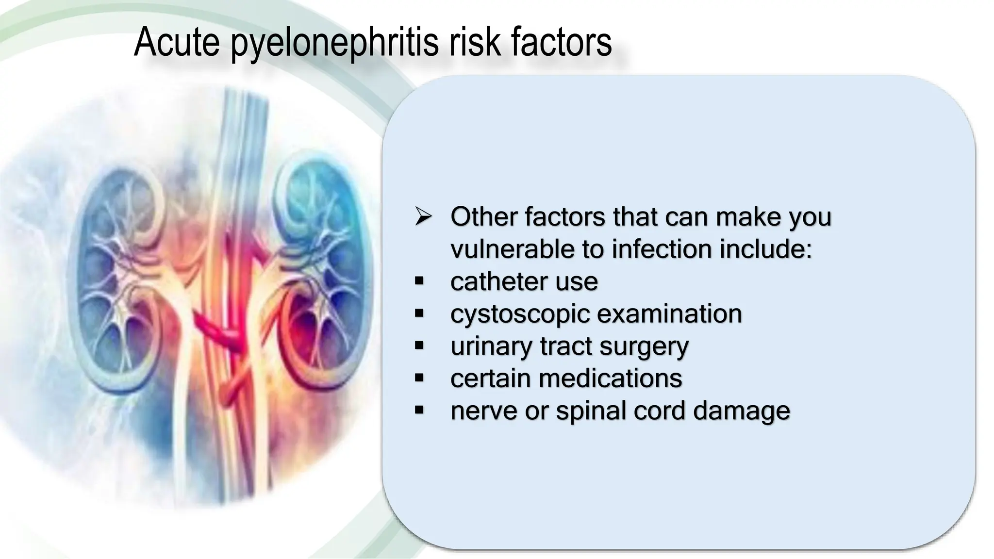 etiology of pyelonephritis nephritis... pptx | PPTX