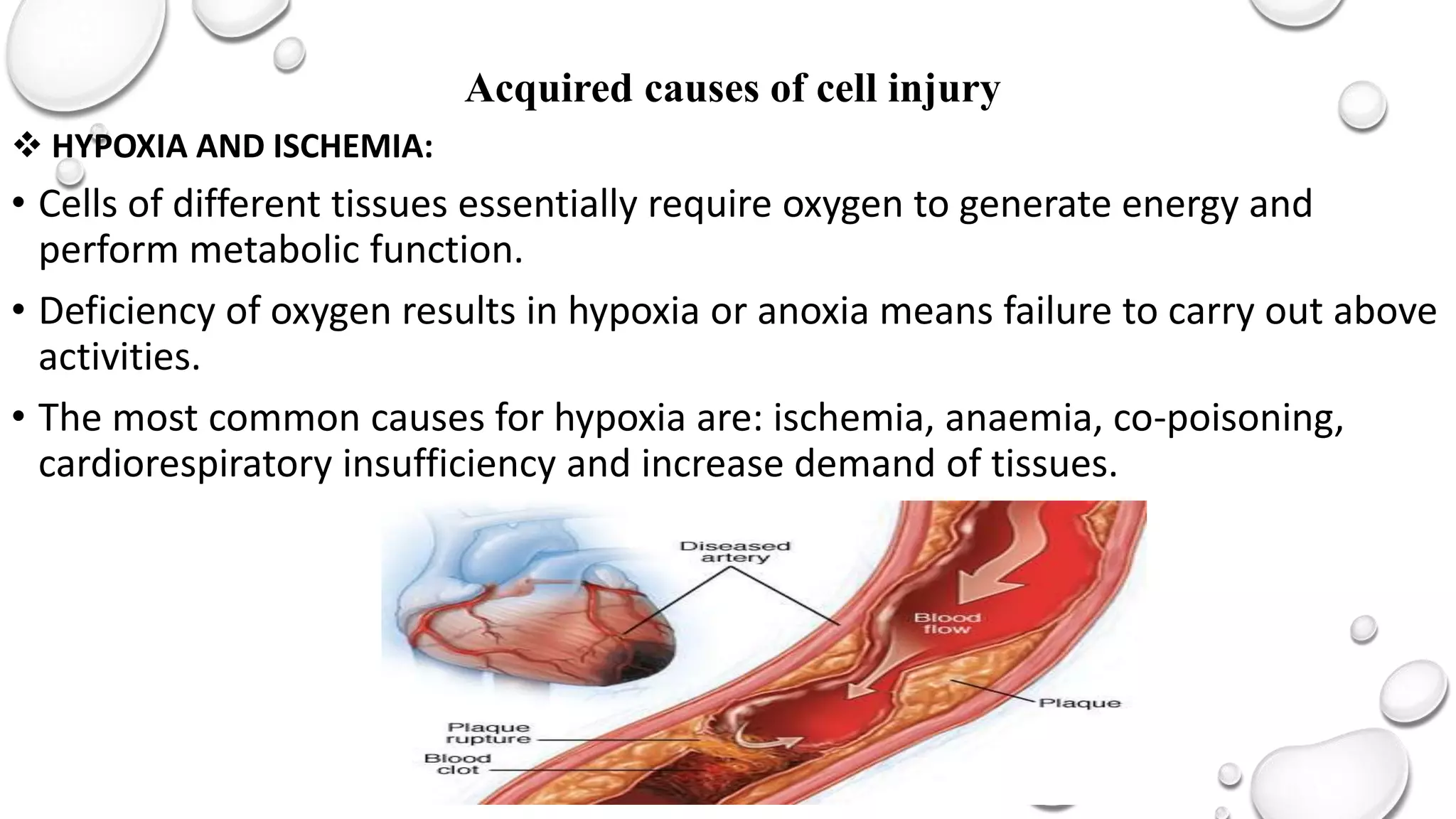 etiology or causes of cell injury.pptx | Pregnancy | Reproductive Health
