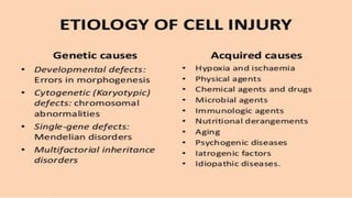 etiology or causes of cell injury.pptx | Pregnancy | Reproductive Health