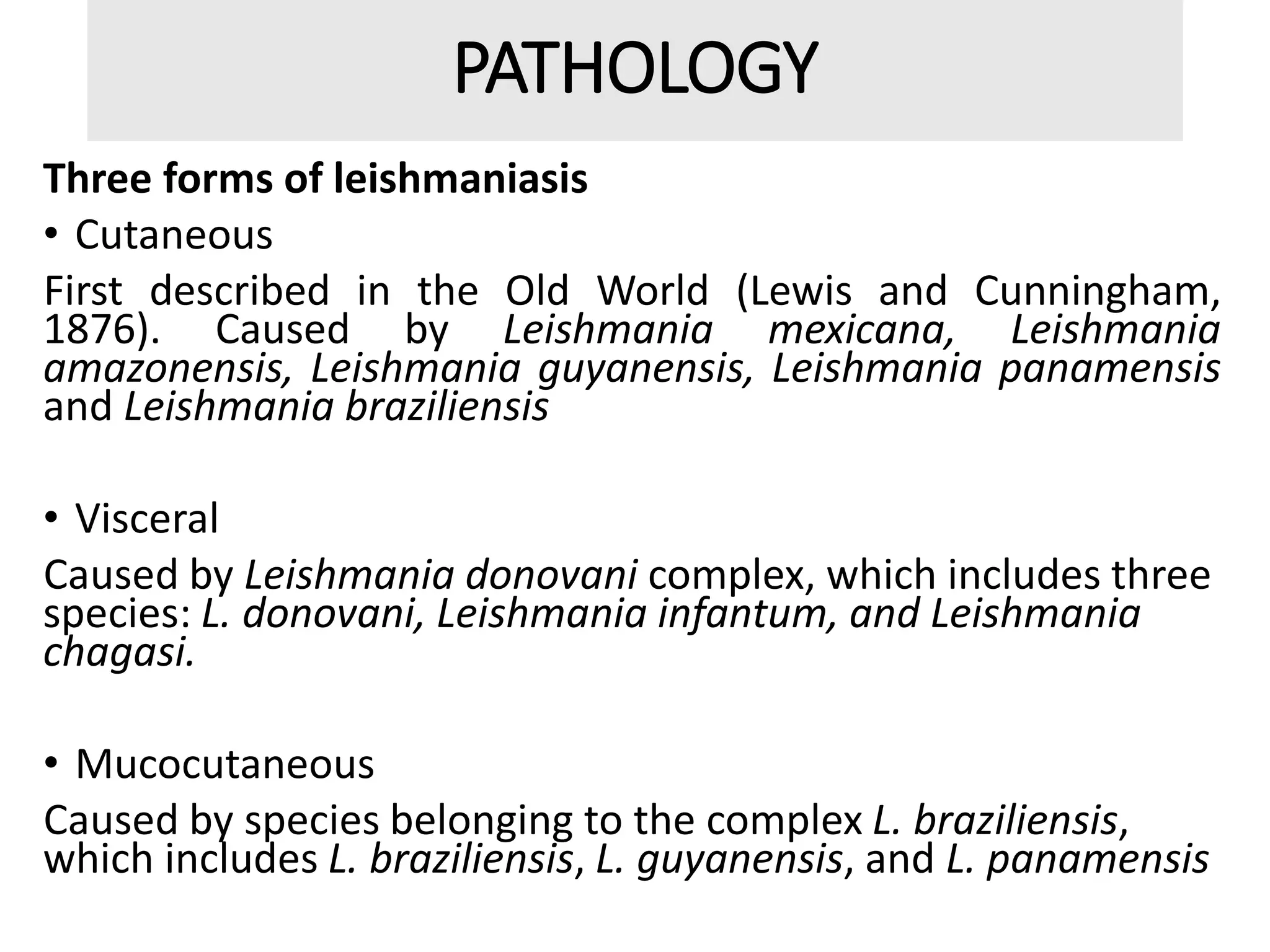 Etiology, Transmission, Life Cycle And Pathology of Different Clinical ...