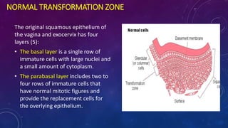 Etiopathogenesis and natural history of ca cervix | PPT