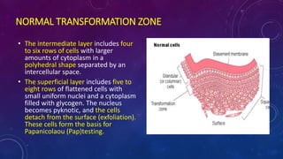 Etiopathogenesis and natural history of ca cervix | PPT