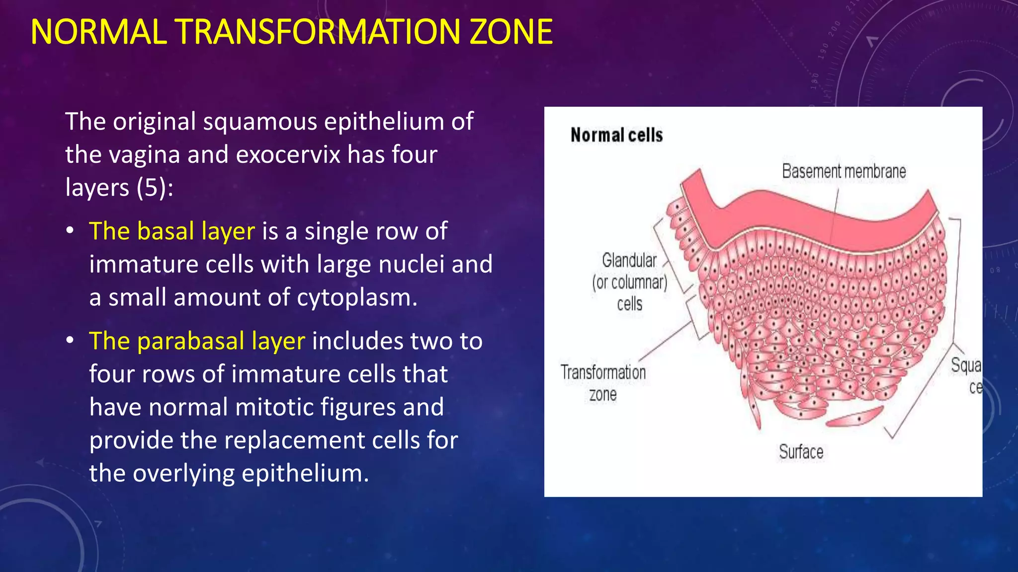 Etiopathogenesis and natural history of ca cervix | PPTX