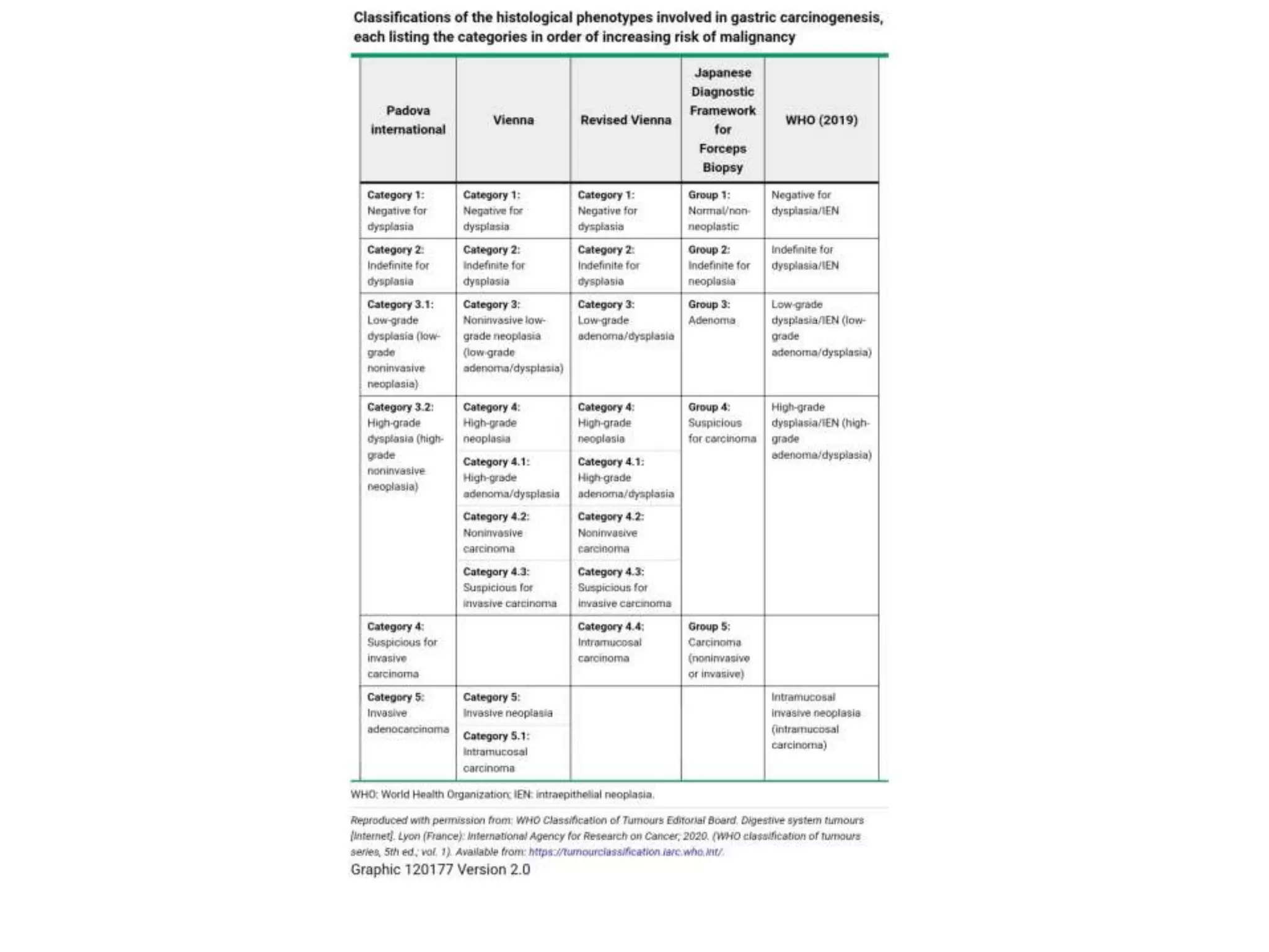Etiopathogenesis and staging of gastric cancer | PPTX