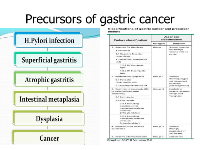 Etiopathogenesis and staging of gastric cancer | PPTX | Digestive ...