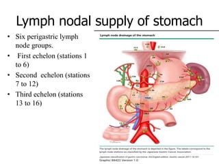 Etiopathogenesis and staging of gastric cancer | PPT