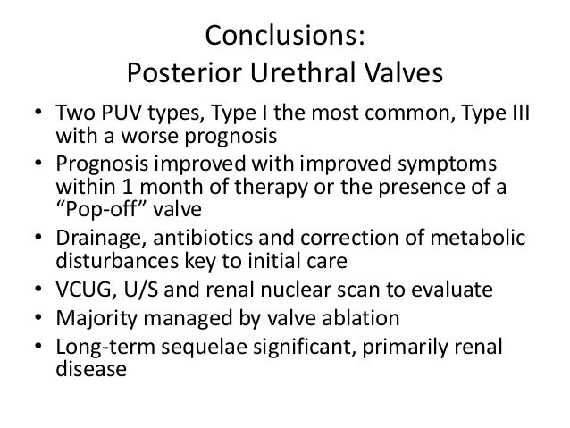 Types Of Posterior Urethral Valves Young 1919 Can We Make