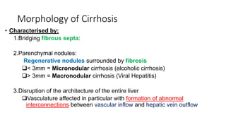 Etiopathogenesis Cirrhosis of Liver | PPT