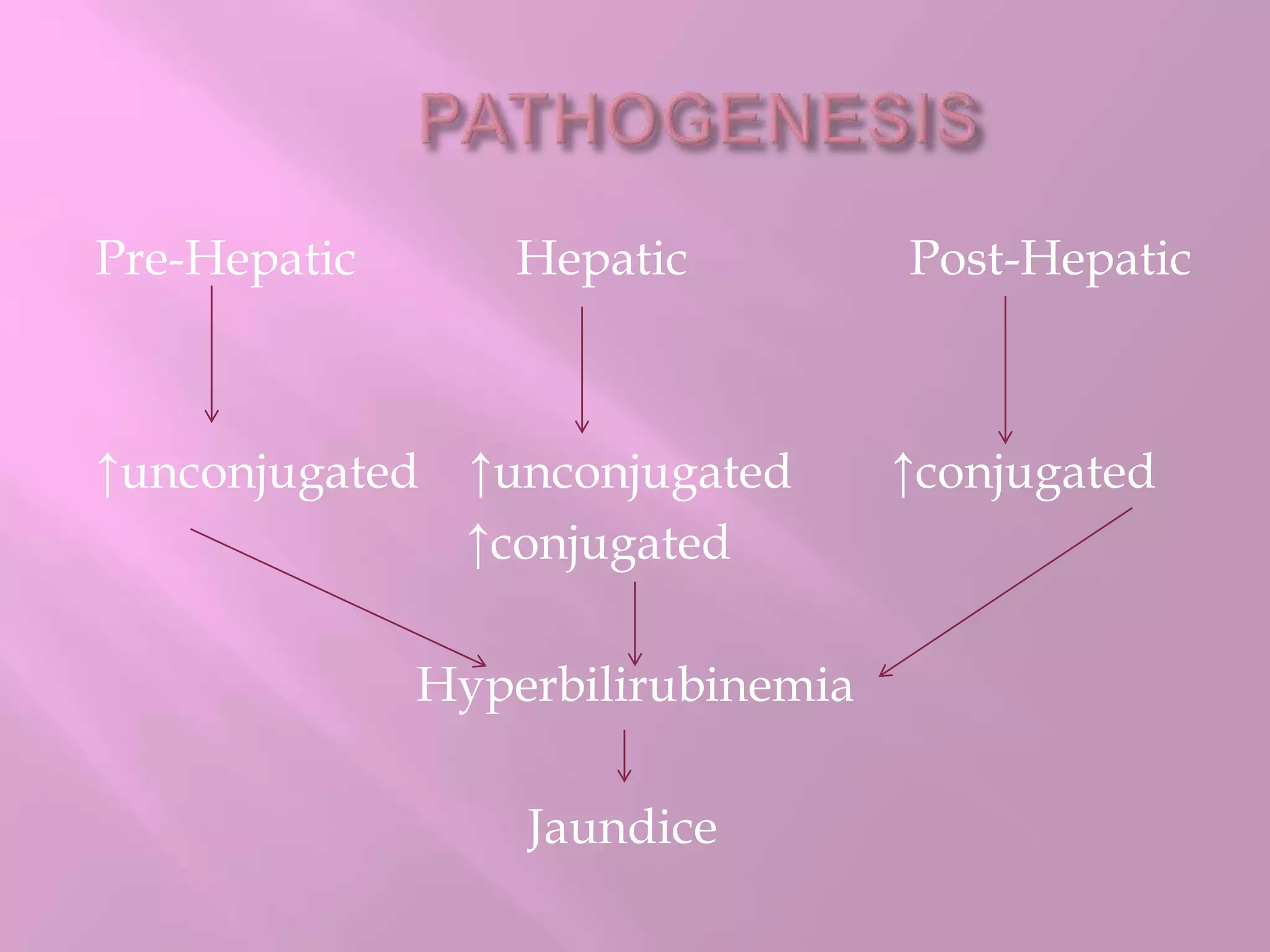 Etiopathogenesis of jaundice | PPTX