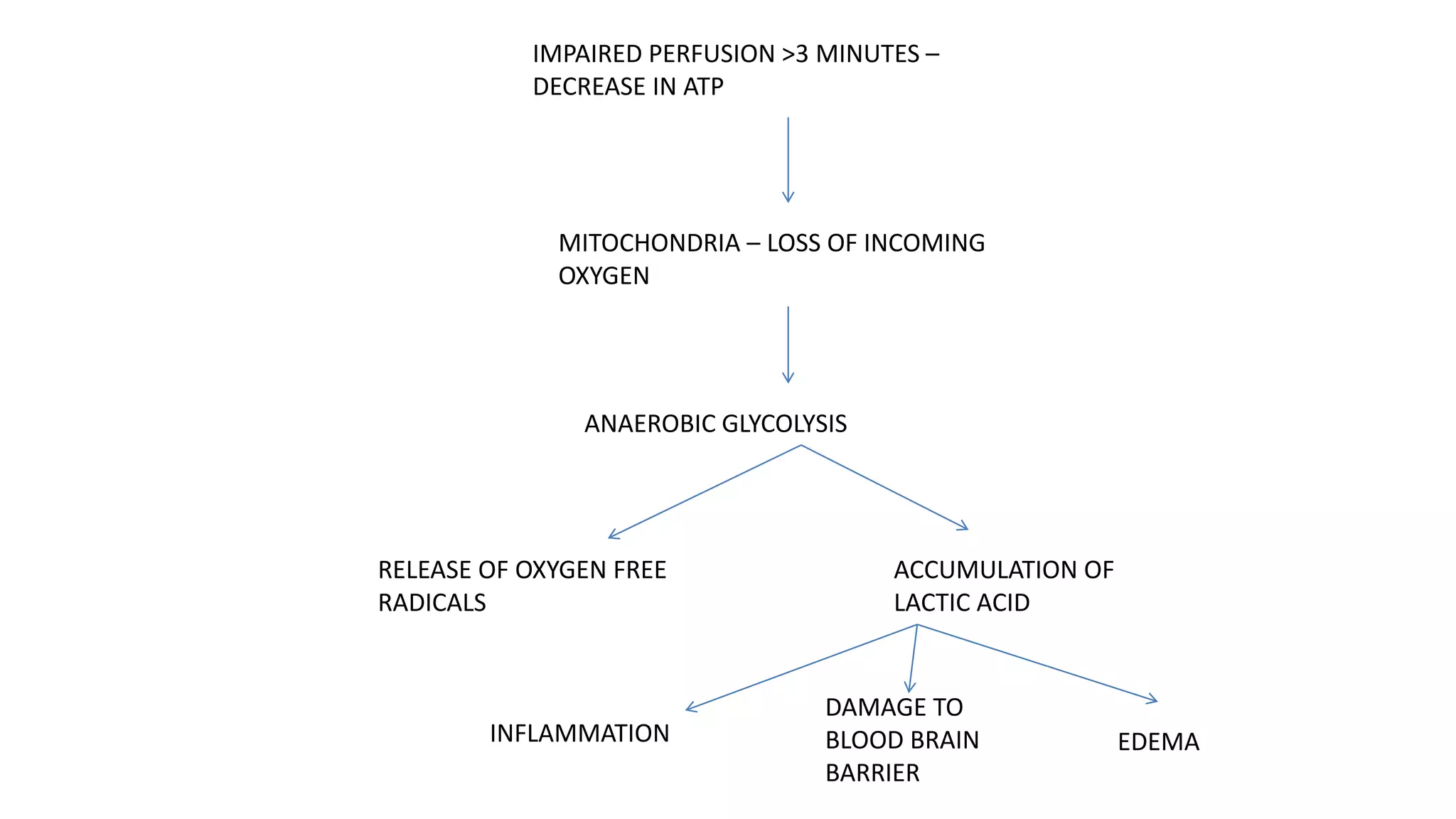 Etiopathogenesis of stroke | PPTX