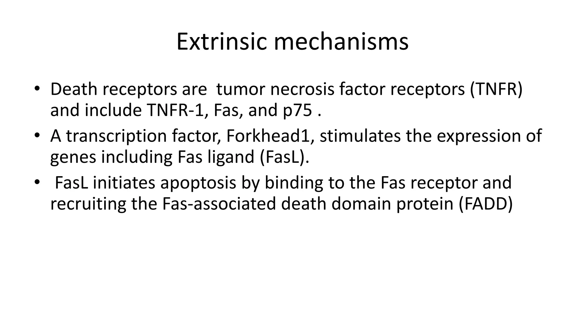 Etiopathogenesis of stroke | PPTX