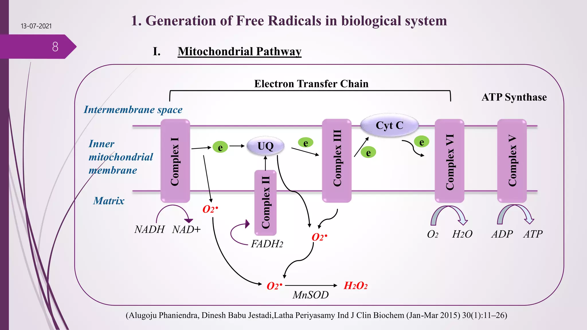 Role of Free Radicals in Etiopathology of Neurodegenerative Disorders ...