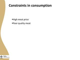 Small Ruminant Value Chain Development in Ethiopia: Initial problem ...