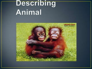Speaking Skill - Descriptive Text (Describing Animal) | PPTX